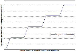 Comment visualiser sa progression ? – NicoBudo